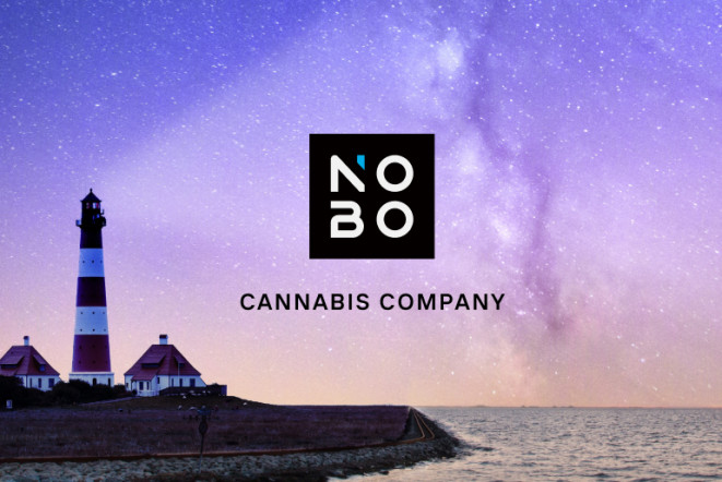 Benton Harbor Dispensary | NoBo Goods